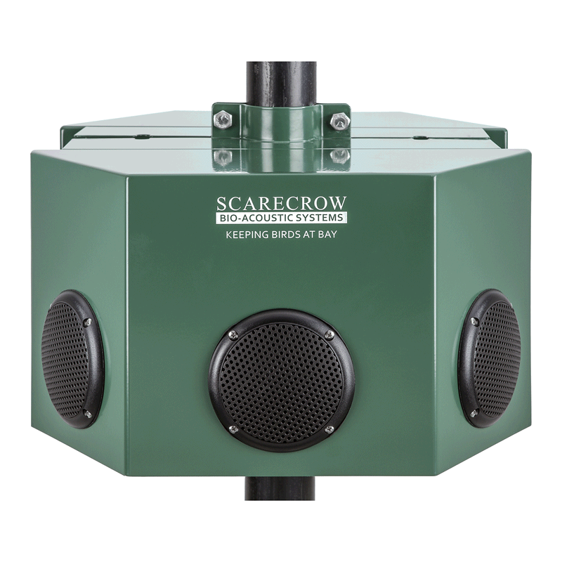 Scarecrow 360 Bird Scarer