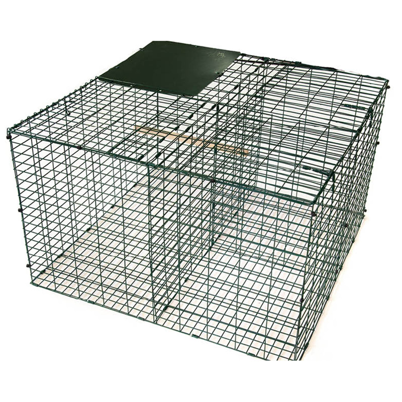 Larsen Trap