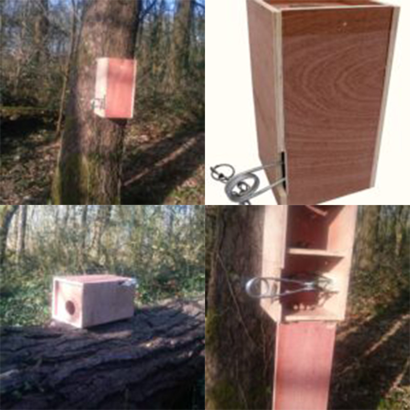 Fineren BMI Bodygrip Trap Box