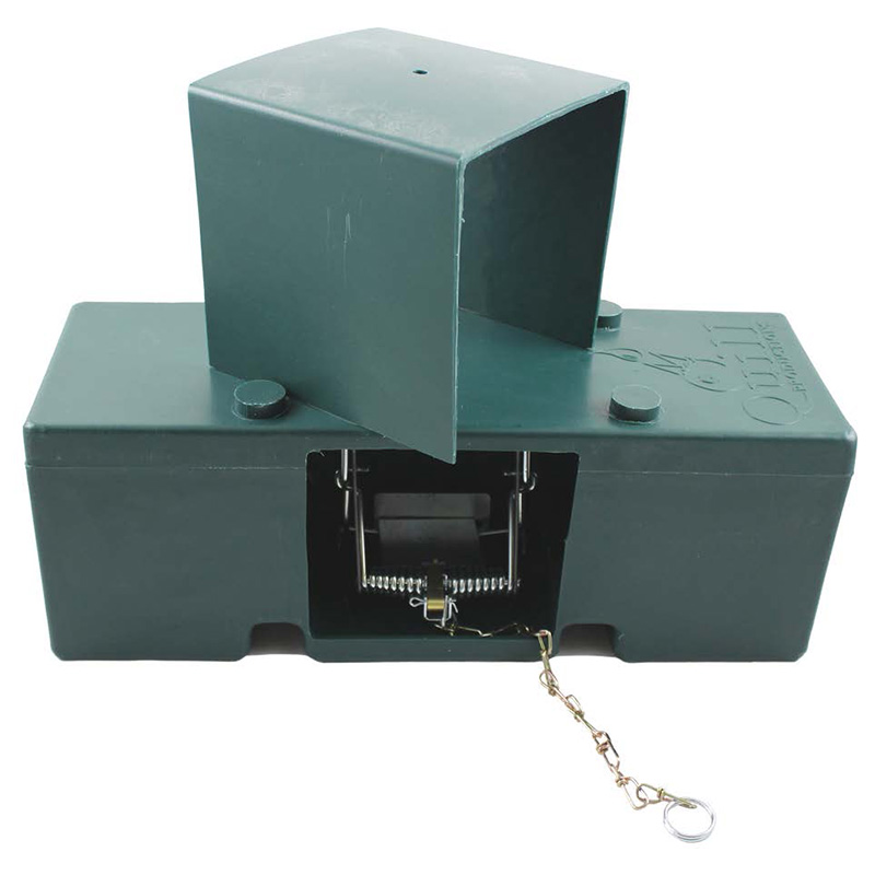 Quill Vermin Trap Box
