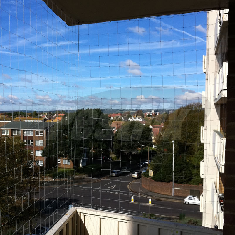Bird Netting | 50mm Translucent Pigeon Bird Netting (Low Visibility HDPE)