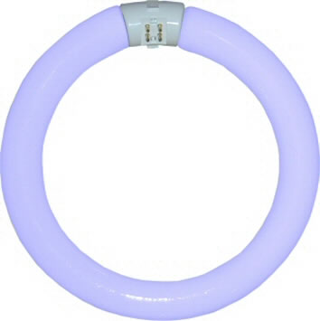 Circline 22W 8" Wemlite LC22WX-W UVA Lamp