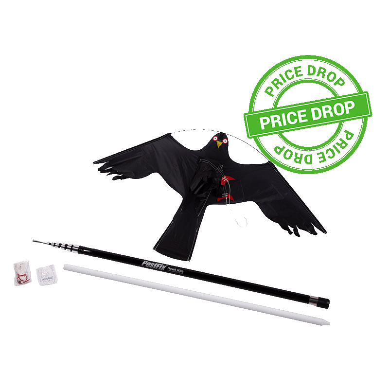 Terror Eyes Visual Bird Scarer by Bird-X