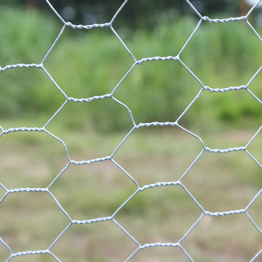 Hexagonal Wire Netting Premium Galvanised