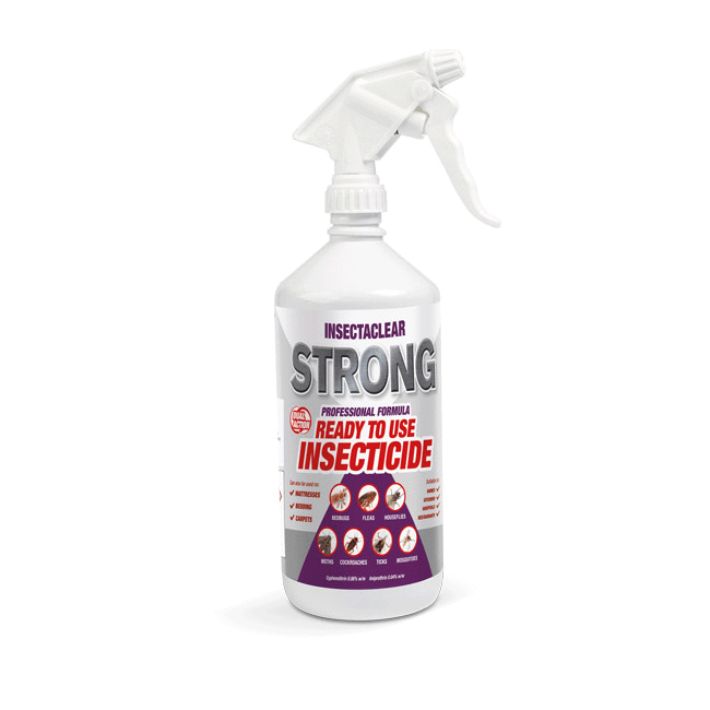 Insectaclear STRONG Ready To Use Insect Killer Spray