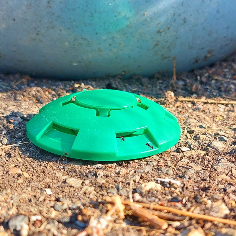 Insecto Ant Bait Station For Control of Ants and Nests