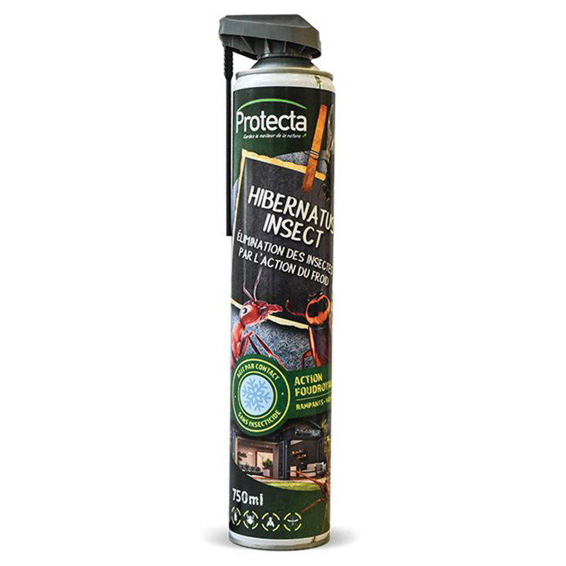 Insect Spray | Dethlac Long-Lasting Insect Spray for Ants Crawling Insects