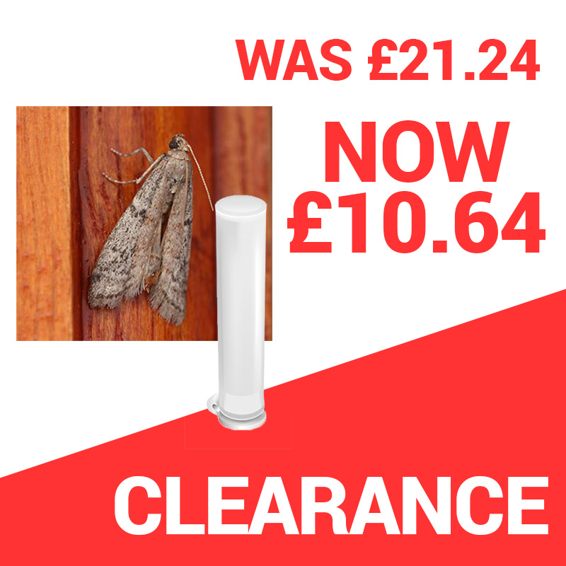 Moth Lure 6 Week (Ephestia elutella) Tobacco, Warehouse, Cacao Moth