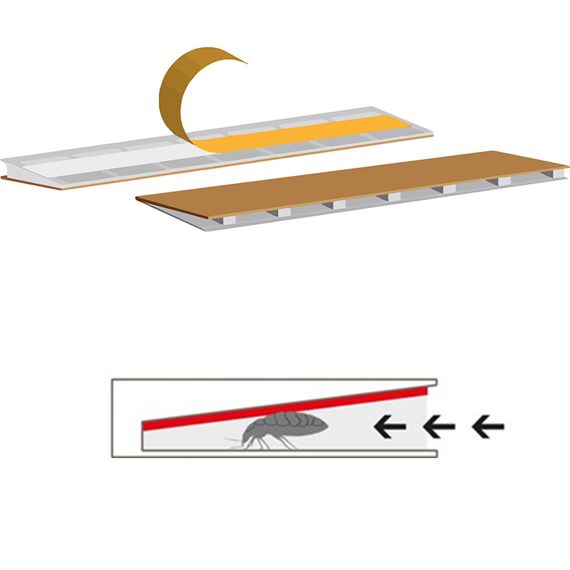 Domobios Bed Bug Trap