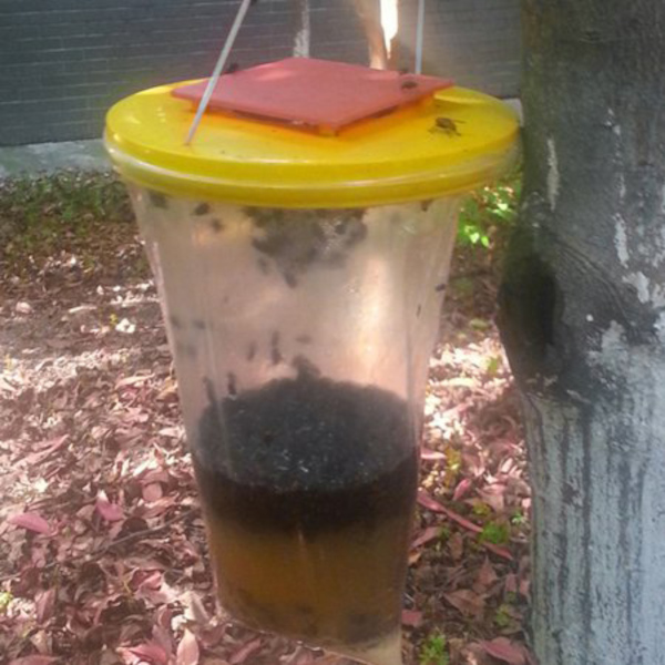 InsectFix Fly Bags Non Toxic Fly Traps