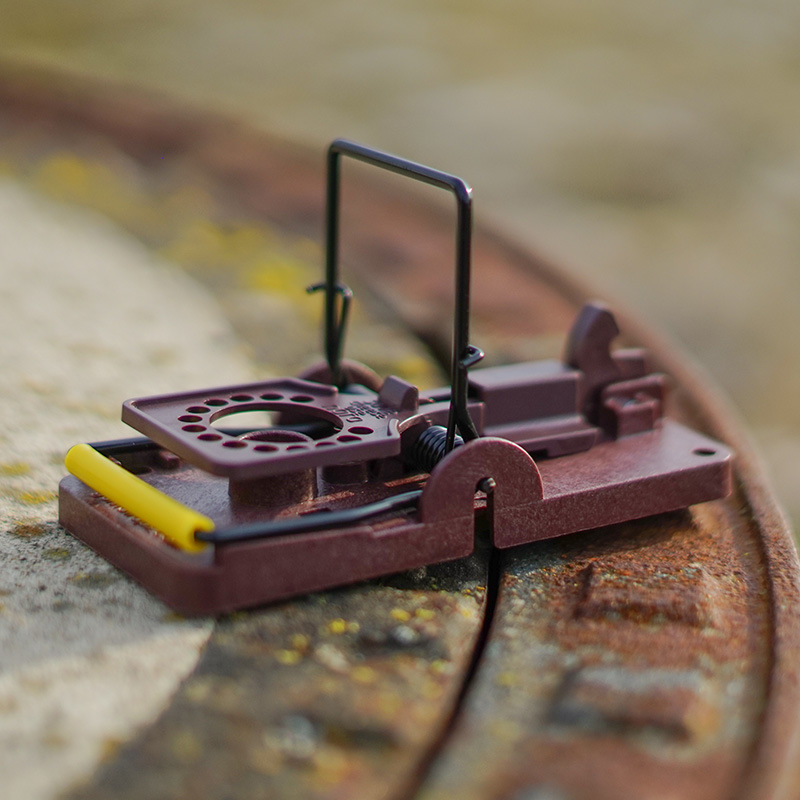 Gorilla Mouse Snap Traps