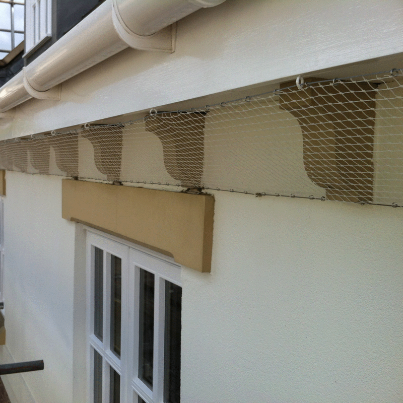 19mm Sparrow Netting - Translucent