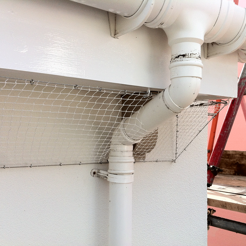 19mm Sparrow Netting - Translucent