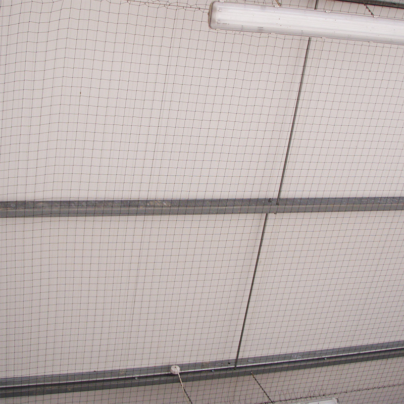 Bird Netting | 50 mm Black Pigeon Netting for Durable Bird Proofing