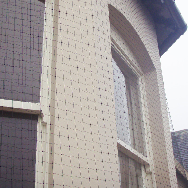 50mm Black Pigeon Netting | Heavy-Duty Bird Proofing Control