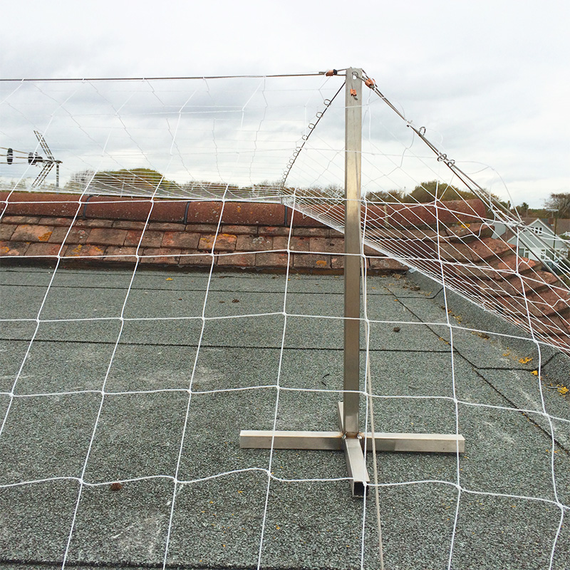 Seagull Netting 75mm Translucent