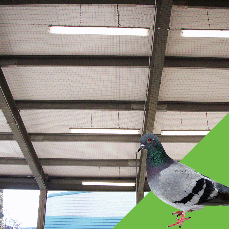 Professional Netting Kit - 50mm 400msq Canopy RSJ Beam