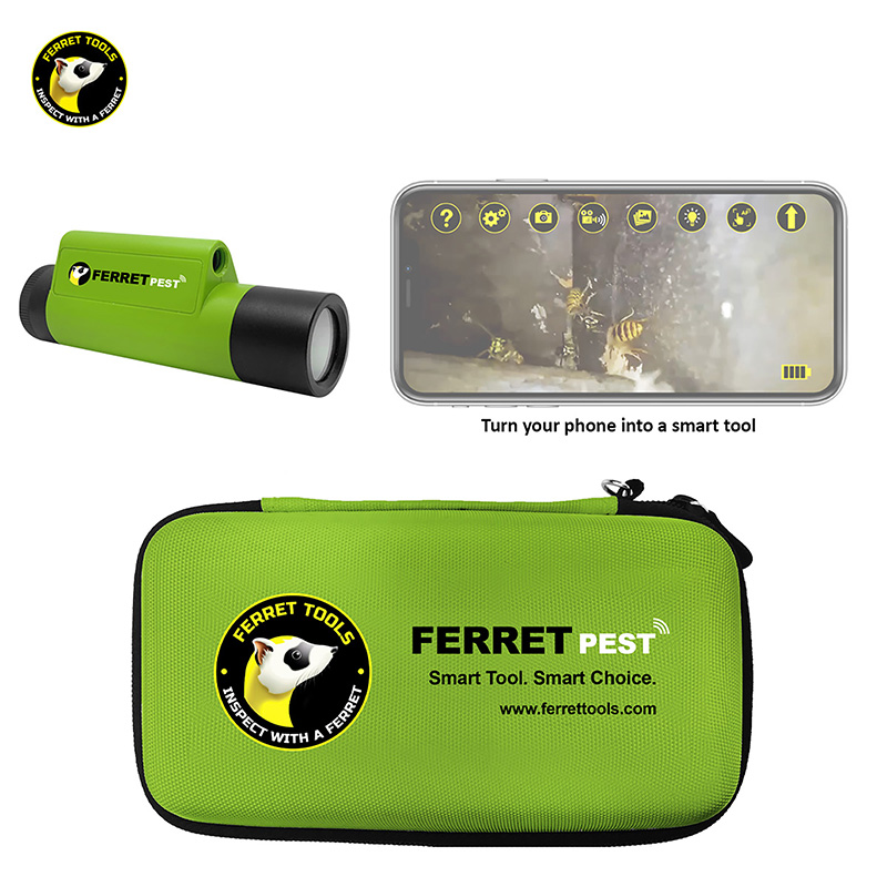 Ferret Pest Camera