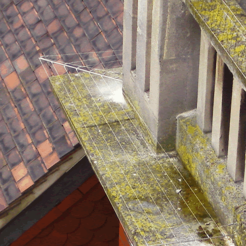 Drilled Rods for Pigeon Wire