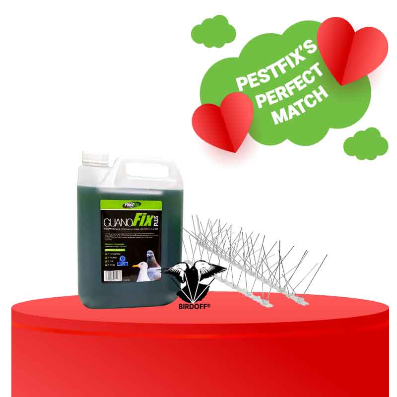 BIRDOFF Bird Spikes GuanoFix Cleaner - Free Gift!