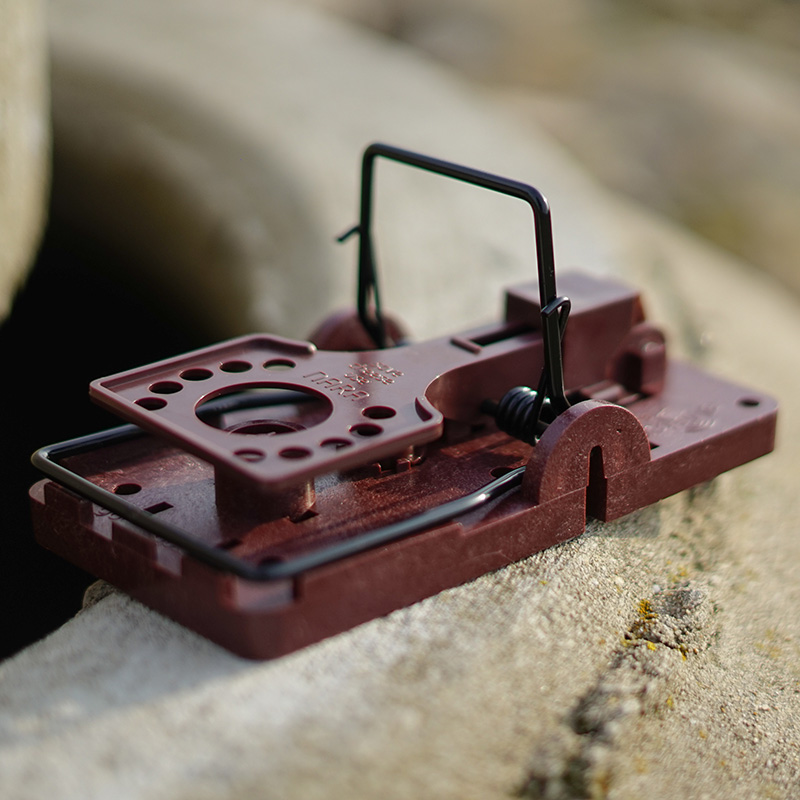 Gorilla Rat Snap Traps