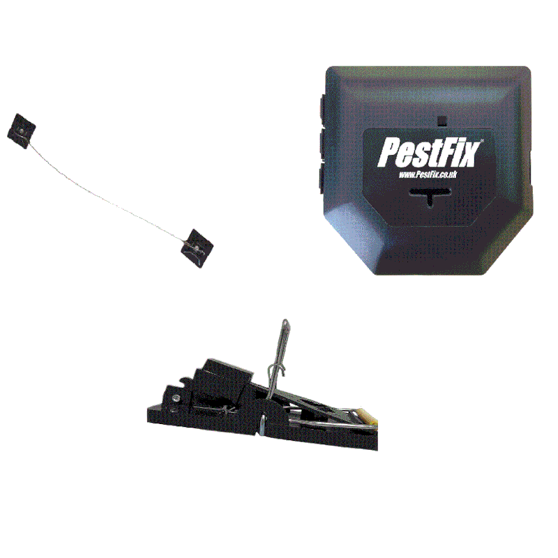 Mouse Trap Box And Tether Kit