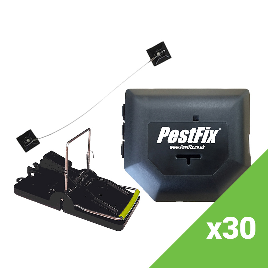 Mouse Trap Box And Tether Kit