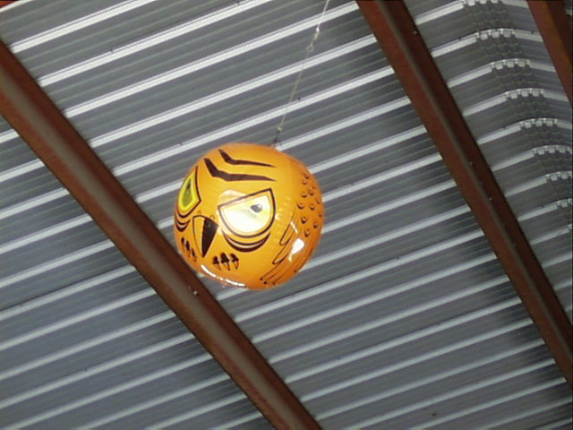 Terror Eyes Visual Bird Scarer by Bird-X