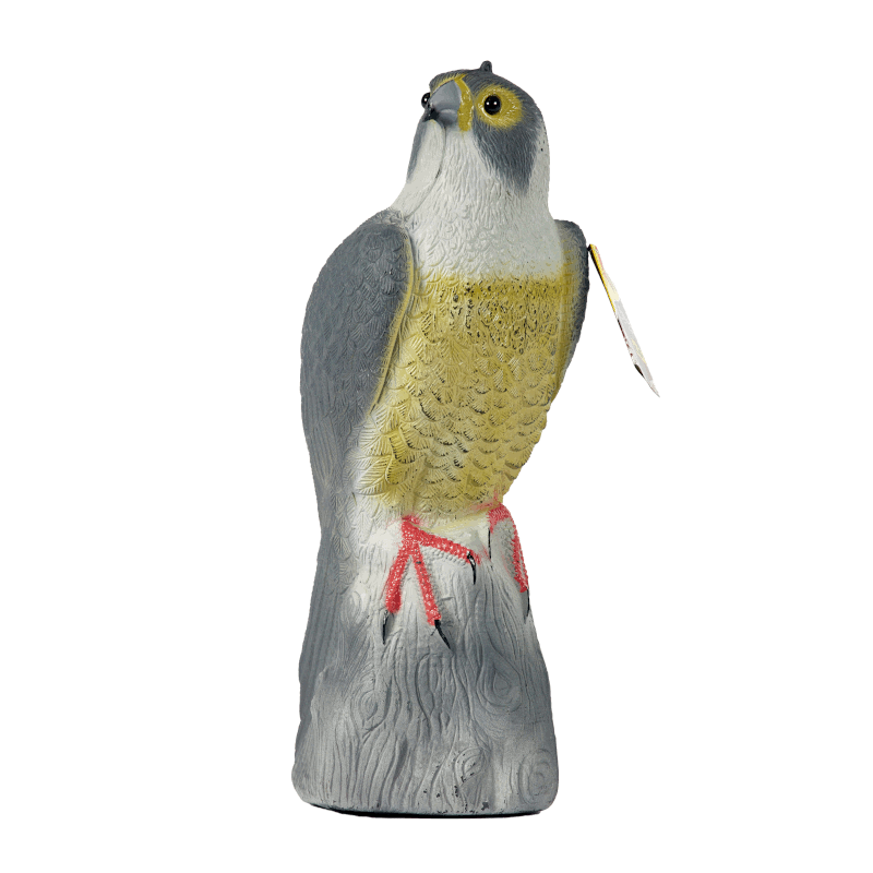 Decoy Peregrine Falcon From £11.99