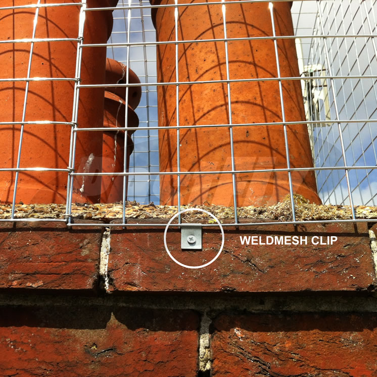 Weldmesh P Clips For Screw Fixing Welded Wire Mesh