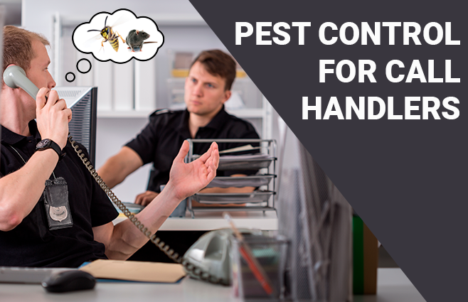 PestFix: Next Day DIY and Professional Pest Control Supplies