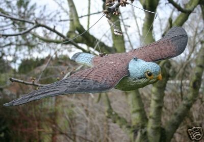 Decoy Flying Falcon From £11.69